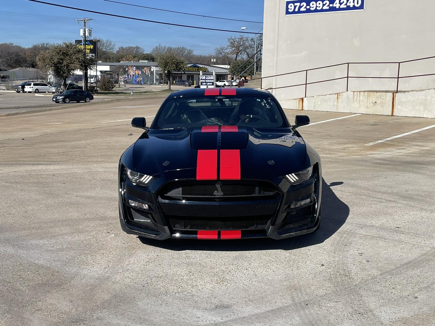 The Story of Racing Stripes and Their Lasting Appeal